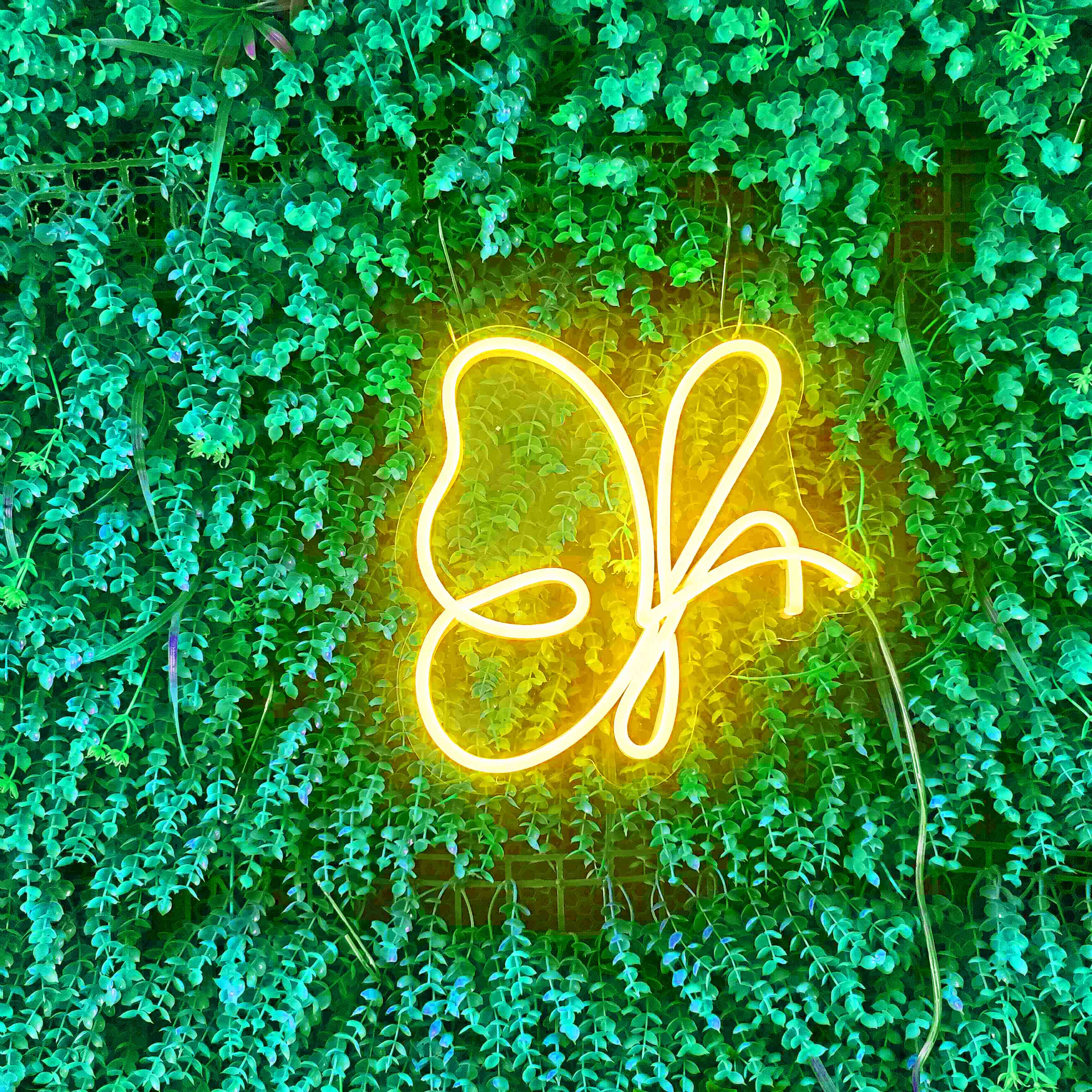 Butterfly Neon Sign, mini butterfly led sign for room, home neon sign ...