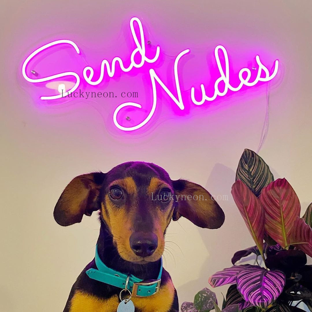 Send Nudes - LED Neon Sign – LUCKYNEON